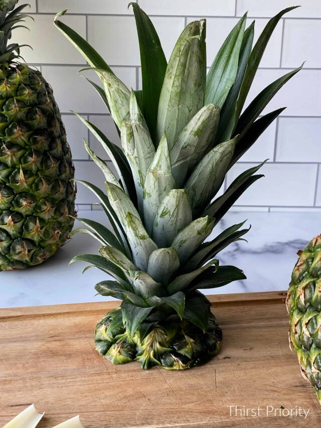 How to Juice a Pineapple (Homemade Juicing Recipe)
