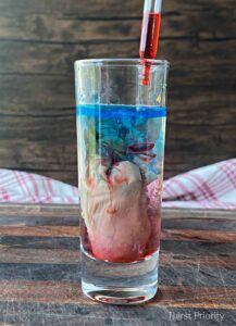 Alien Brain Hemorrhage Shot Recipe (Halloween Shot)