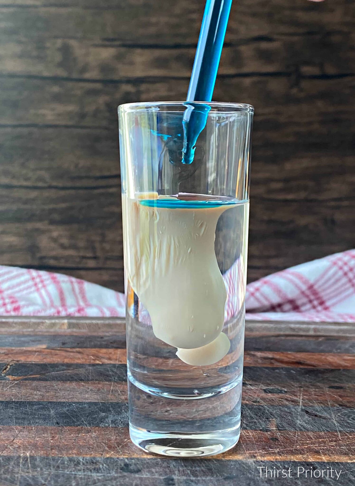 Alien Brain Hemorrhage Shot Recipe (Halloween Shot)