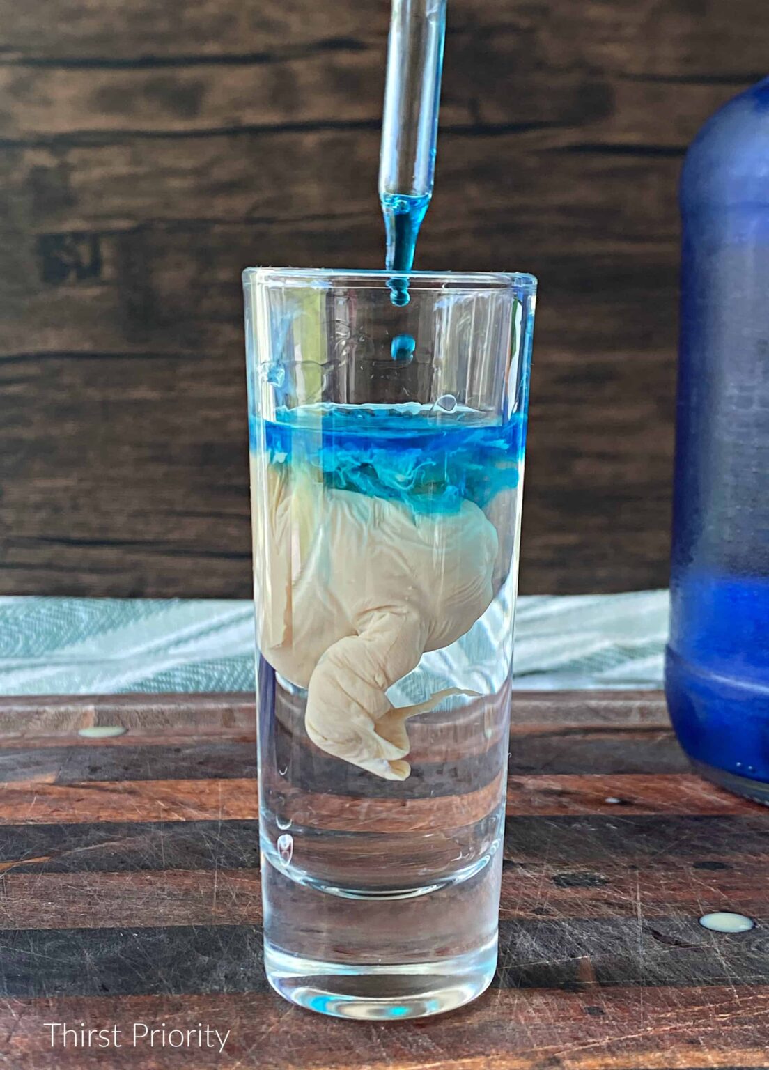 Alien Brain Hemorrhage Shot Recipe (Halloween Shot)