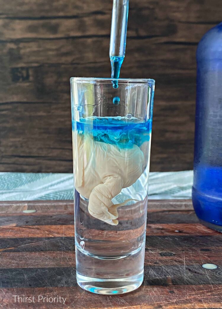 Alien Brain Hemorrhage Shot Recipe (Halloween Shot)